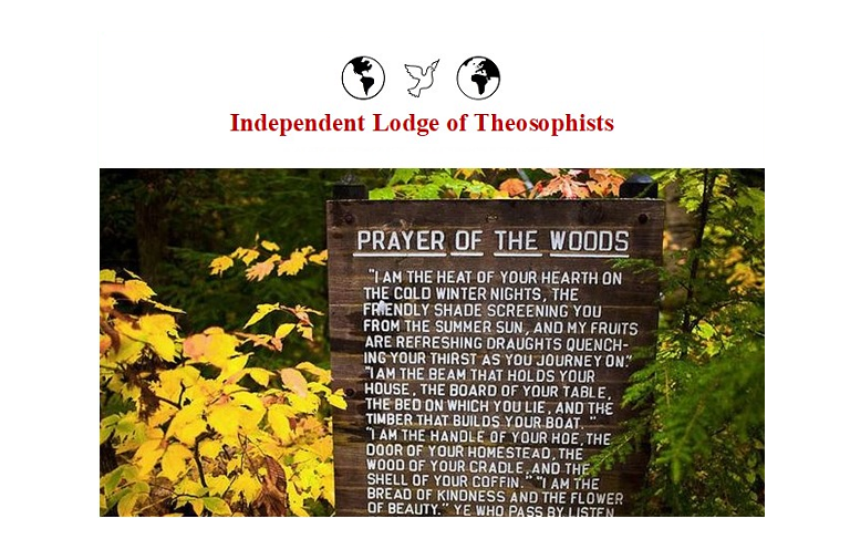The Prayer of the Woods